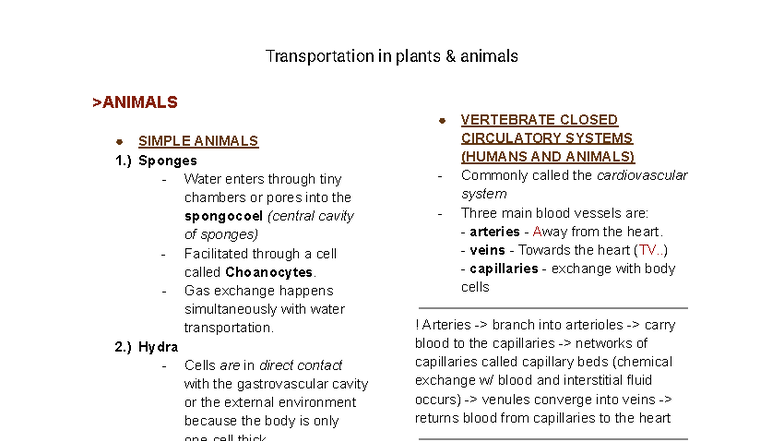 (BIO L3) Transportation Mechanisms in Plants and Animals - Studocu