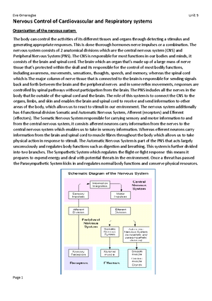 [Solved] 6 Stages Involved in the Secretion of an Enzyme by a Stomach ...