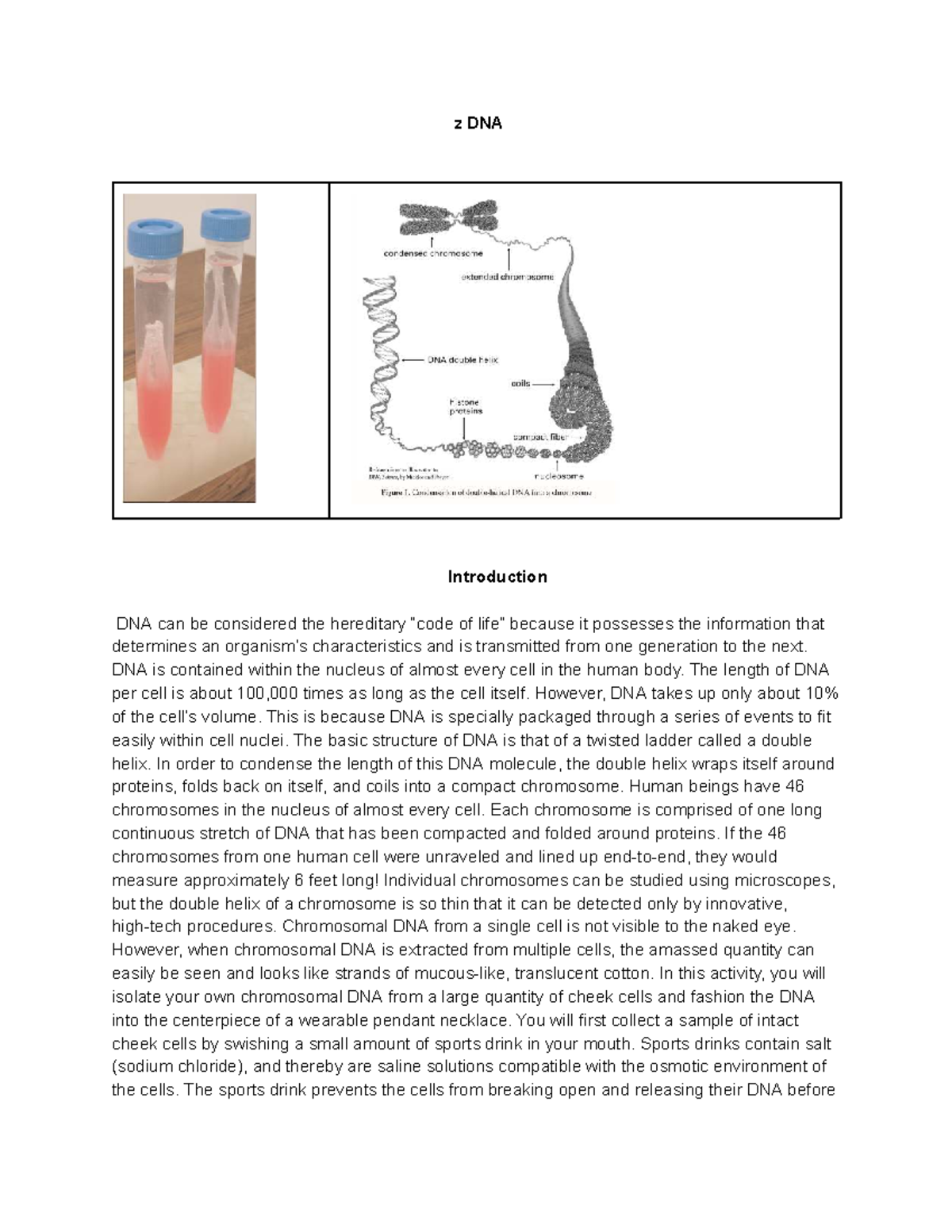 DNA LAB - Extracting and Visualizing Chromosomal DNA from Cheek Cells ...