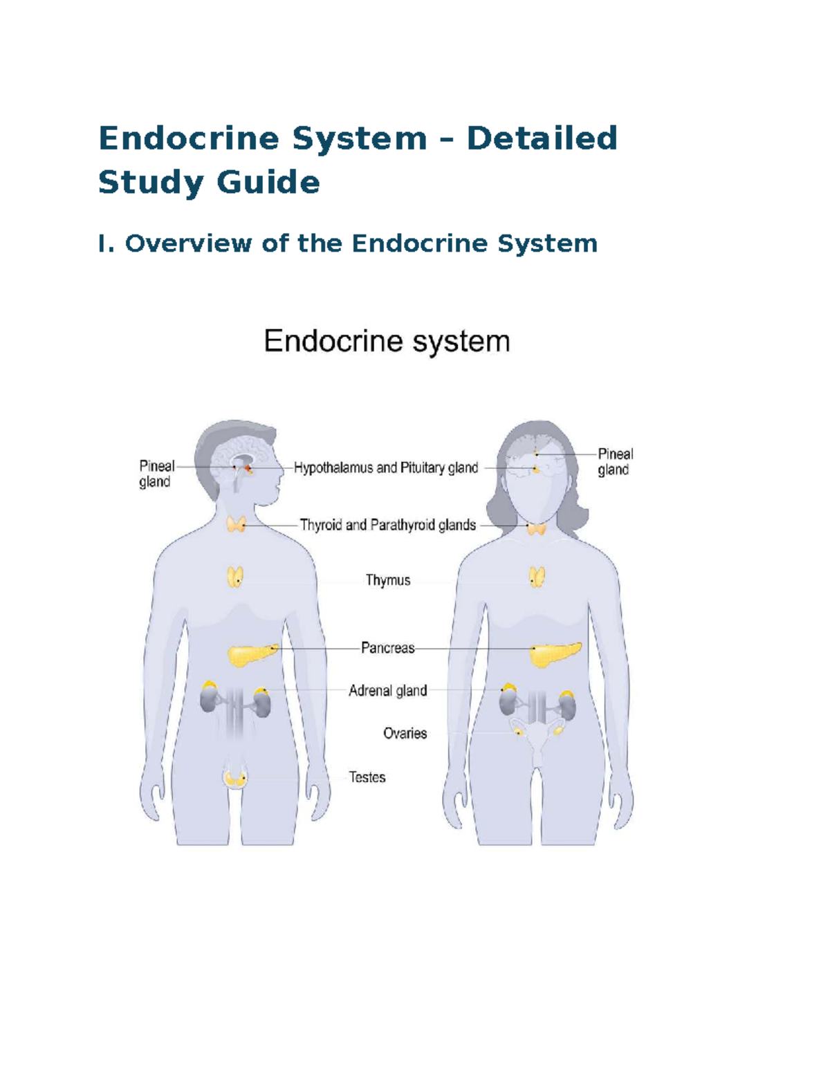 Bio 254 Endocrine System Study Guide: Hormones & Functions - Studocu