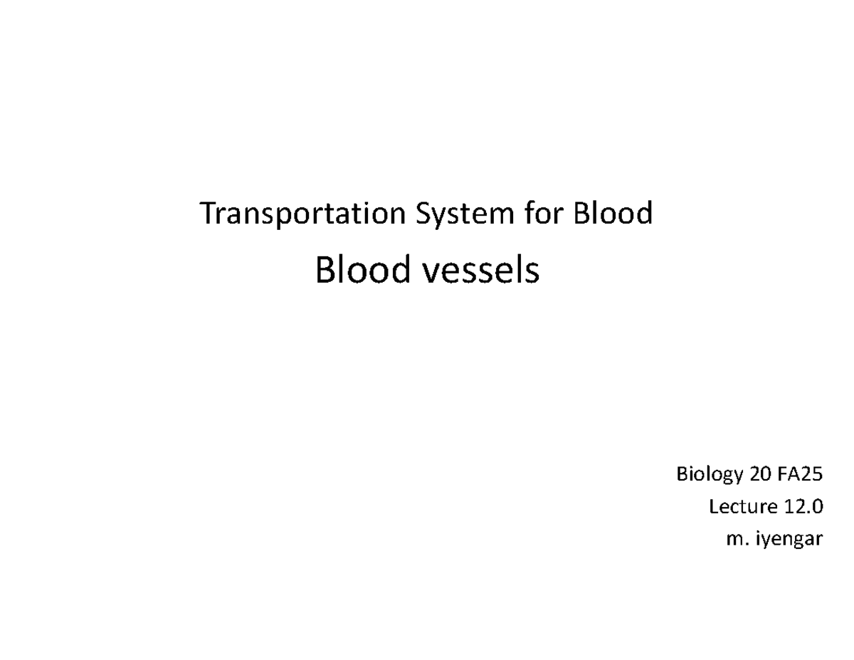 BIO20 - Lecture on Blood Vessels: Structure & Function - Studocu