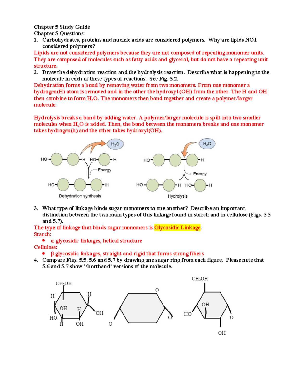 Chapter 5 study guide updated 09-01-24 - Chapter 5 Study Guide Chapter ...