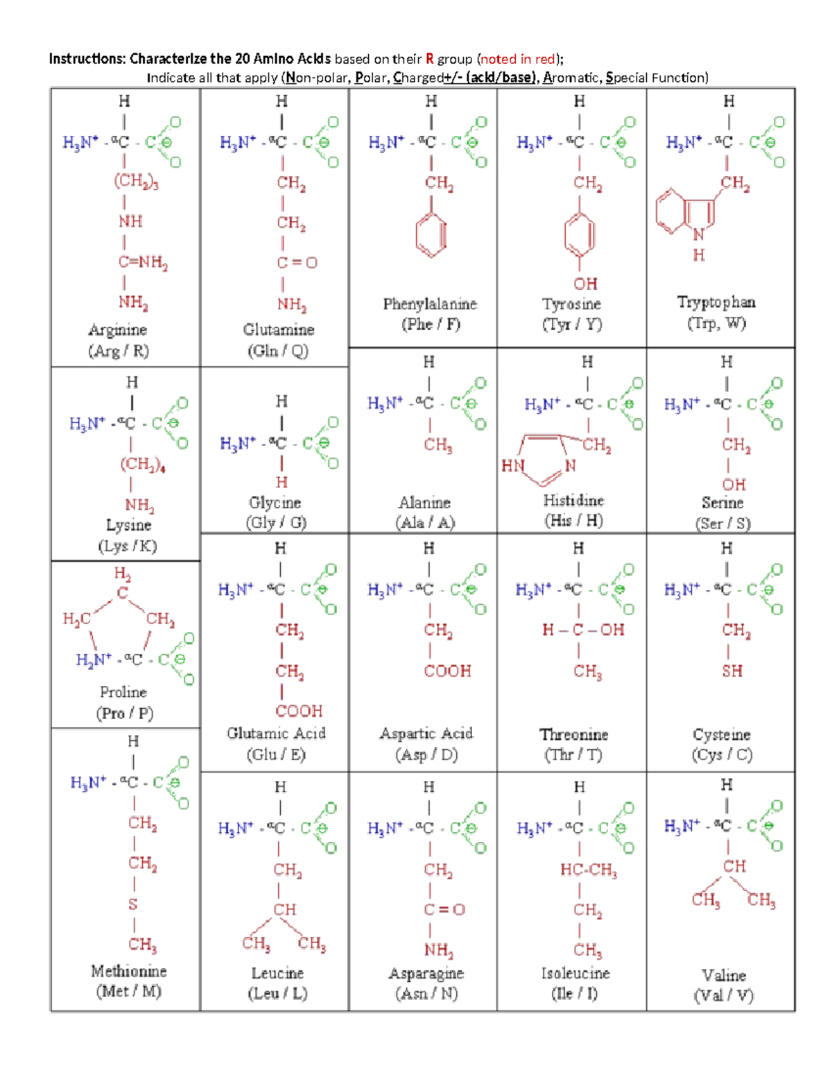 Characterization of 20 Amino Acids Based on R Group Properties - BI 210 ...