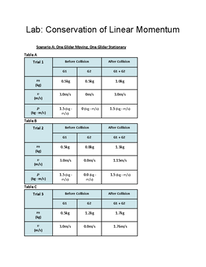 Magnetic and Electrical Fields Lab Report - Magnetic & Electric Fields Lab Report Purpose: - Studocu
