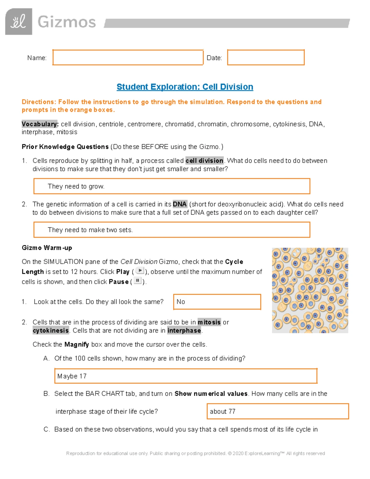 Amoeba Sisters Mitosis vs. Meiosis Comparison Worksheet - Amoeba ...