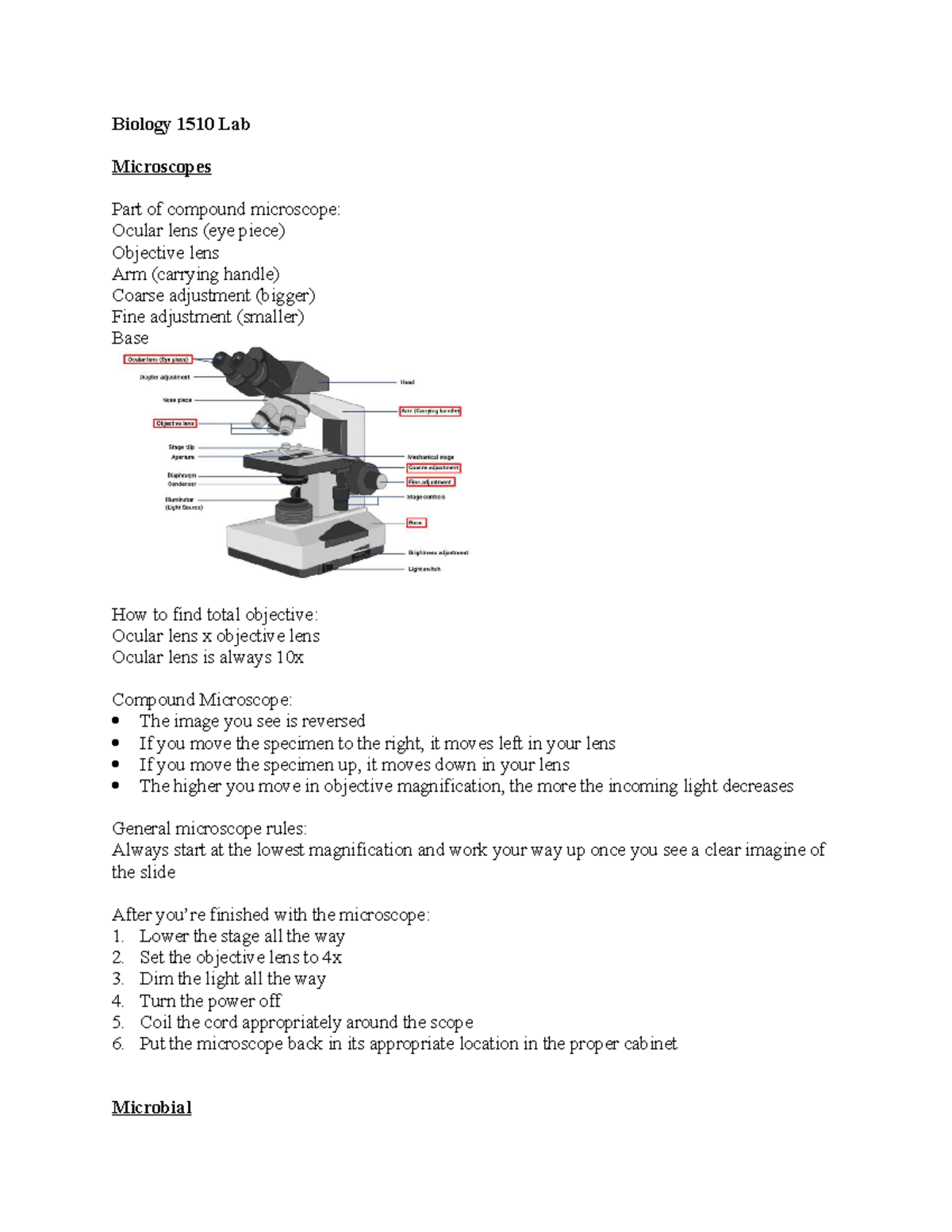 Bio lab notes - Biology 1510 Lab Microscopes Part of compound ...