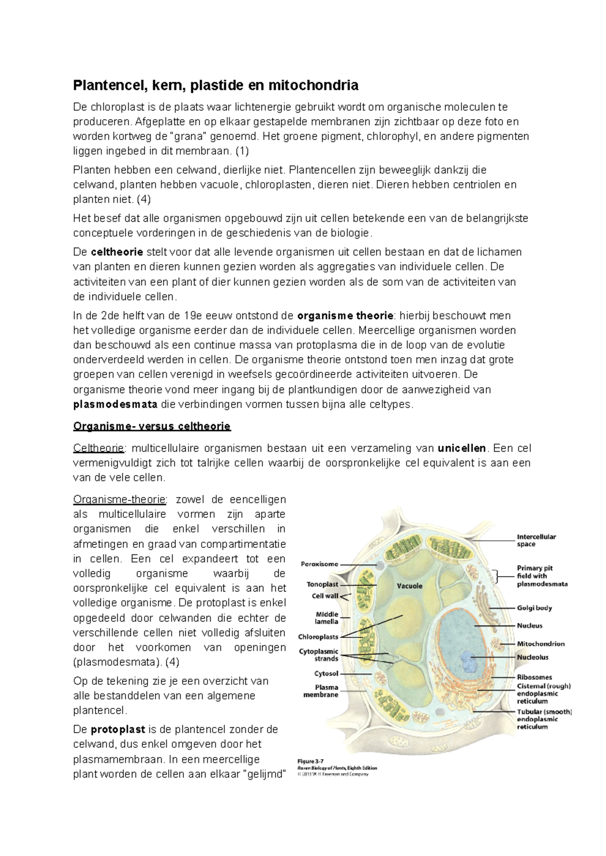 Plantenbiologie: Structuur en Functie van Plantencellen en Organellen ...