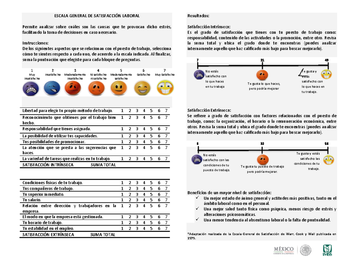 Escala de Satisfacción Laboral IMSS: Análisis y Resultados - Studocu