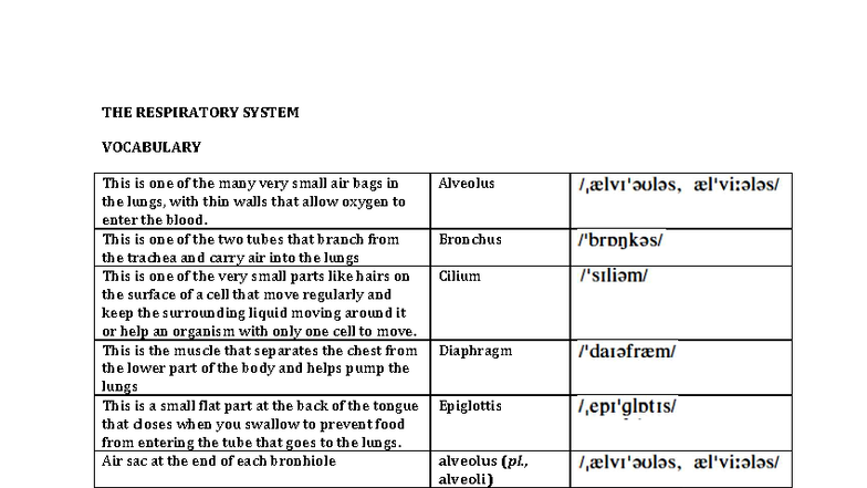 THE RESPIRATORY SYSTEM VOCABULARY PRACTICE (BIO 101) - Studocu