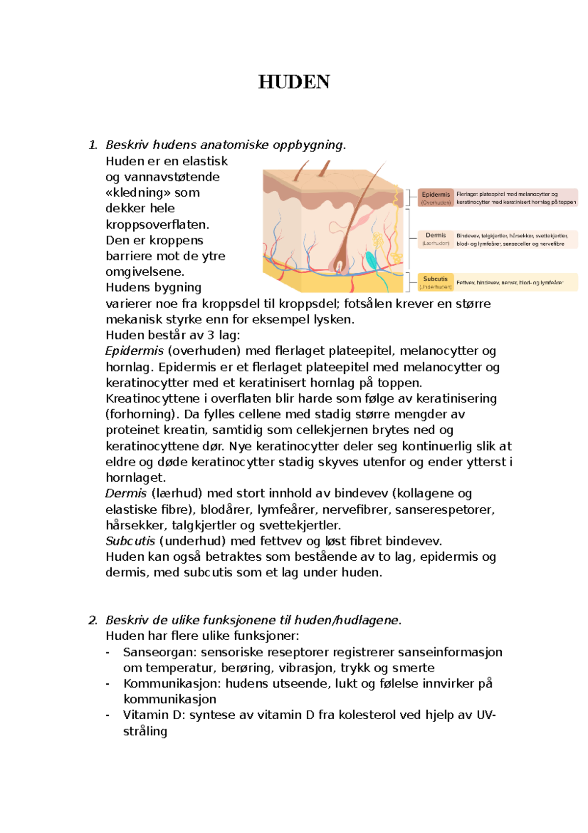 HUDEN - Anatomiske Oppgaver til Oppgaveseminar (Kurskode: Huden) - Studocu