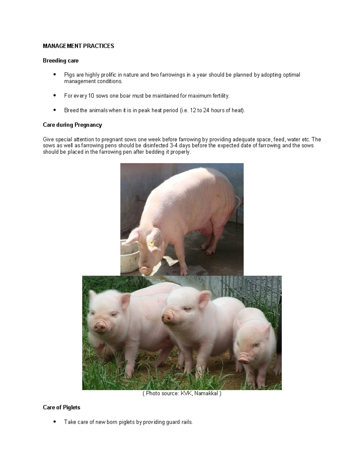 MANAGEMENT PRACTICES FOR PIG BREEDING AND CARE: A COMPREHENSIVE GUIDE ...