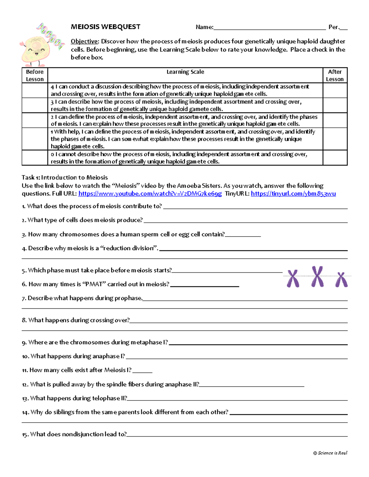 Meiosis Webquest Student Handout: Exploring Genetic Diversity - Studocu
