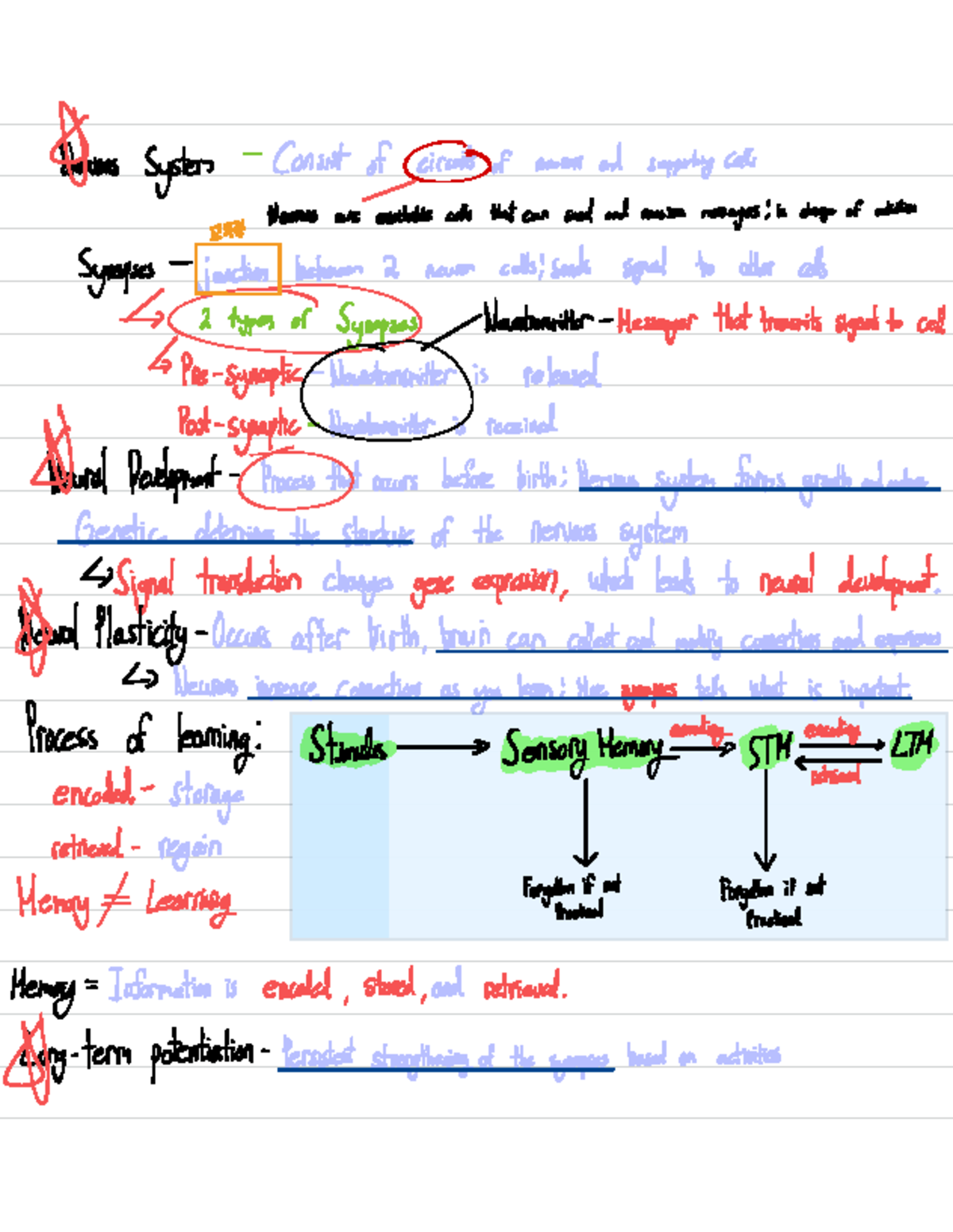 Gen Bio 115 Lecture Notes: Nervous System and Neural Development - Studocu