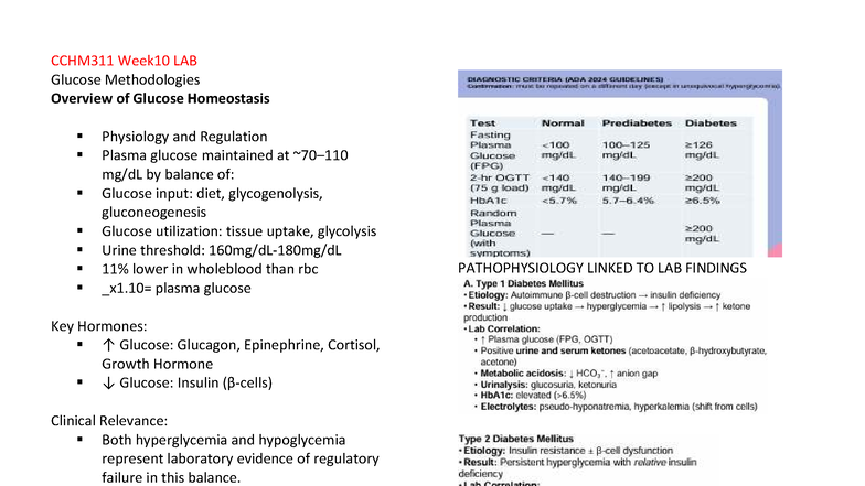 CCHM311 Week 10 LAB: Overview of Glucose Homeostasis and Methods - Studocu