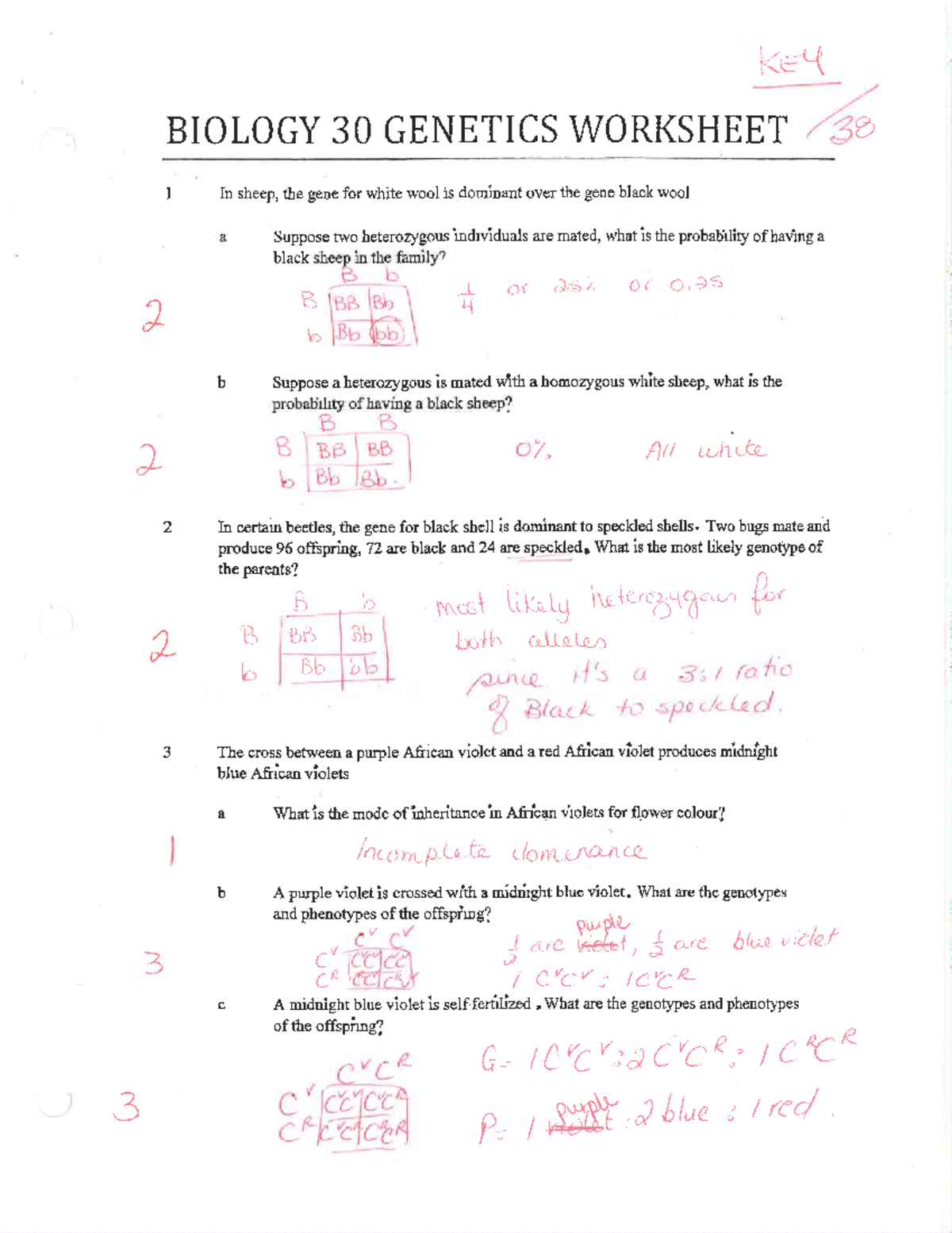 Genetic Comprehensive Key - Biology 30 Notes Summary - Studocu