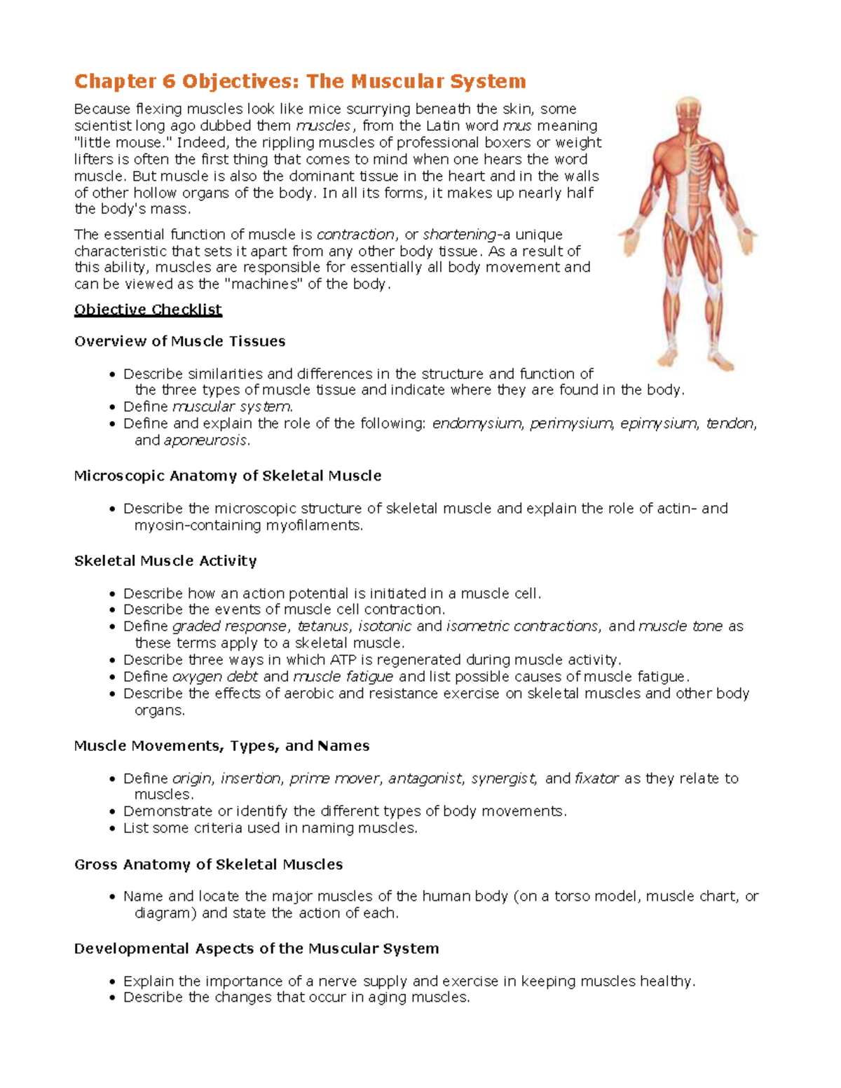009632585 - objectives muscles - Chapter 6 Objectives: The Muscular ...