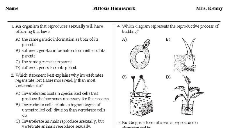 MItosis Homework 2025: Asexual Reproduction & Cell Division Concepts ...