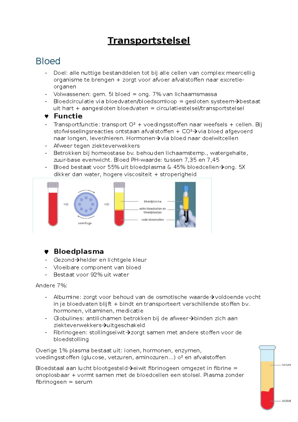 Transportstelsel Bloed: Functies en Anatomie - Juni 2023 - Studocu