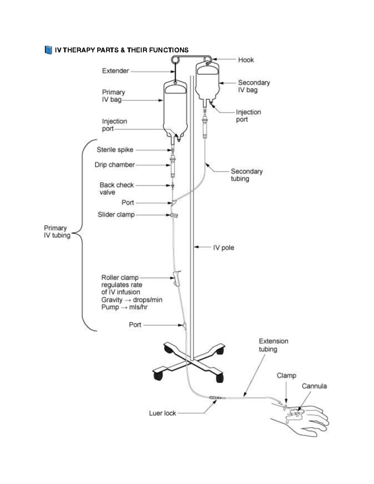 IV Therapy Components and Their Functions: A Comprehensive Guide - Studocu