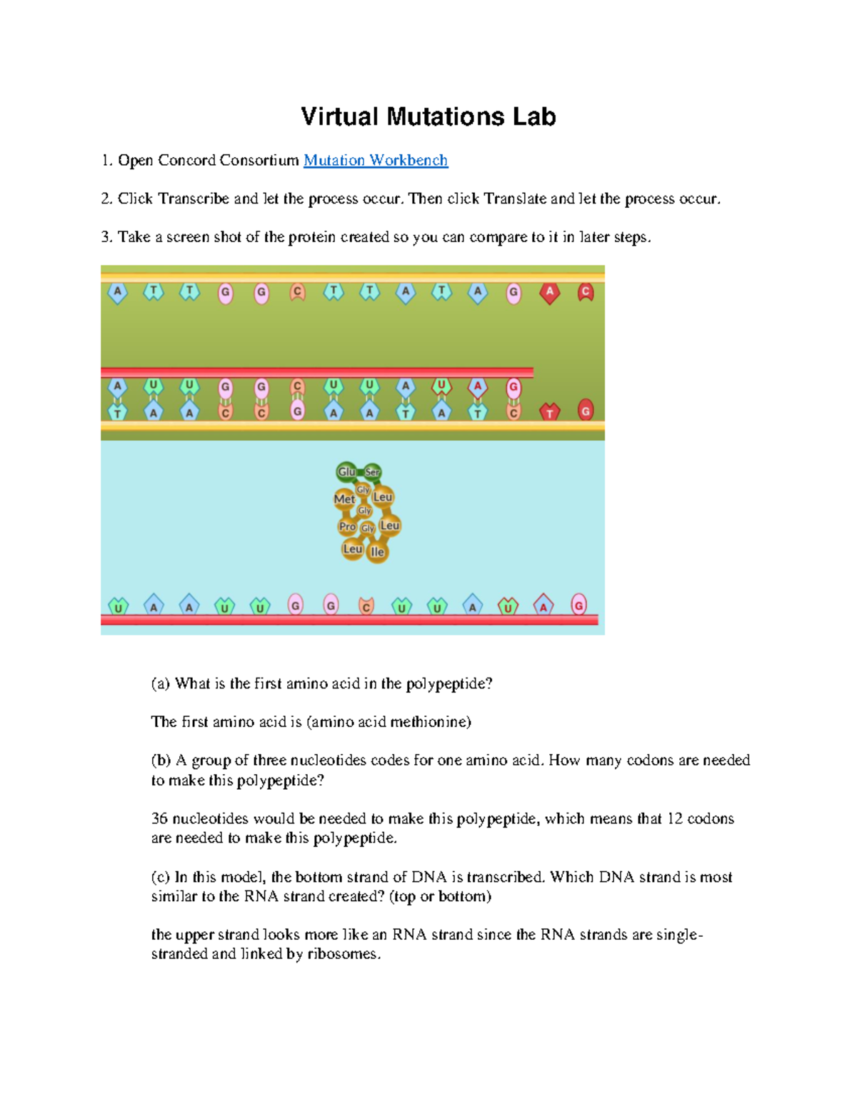 Day 19 Bio Virtual Mutations Lab - Virtual Mutations Lab Open Concord ...