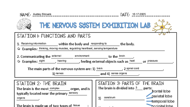 Project 4A: Nervous System Stations Overview and Key Concepts - Studocu