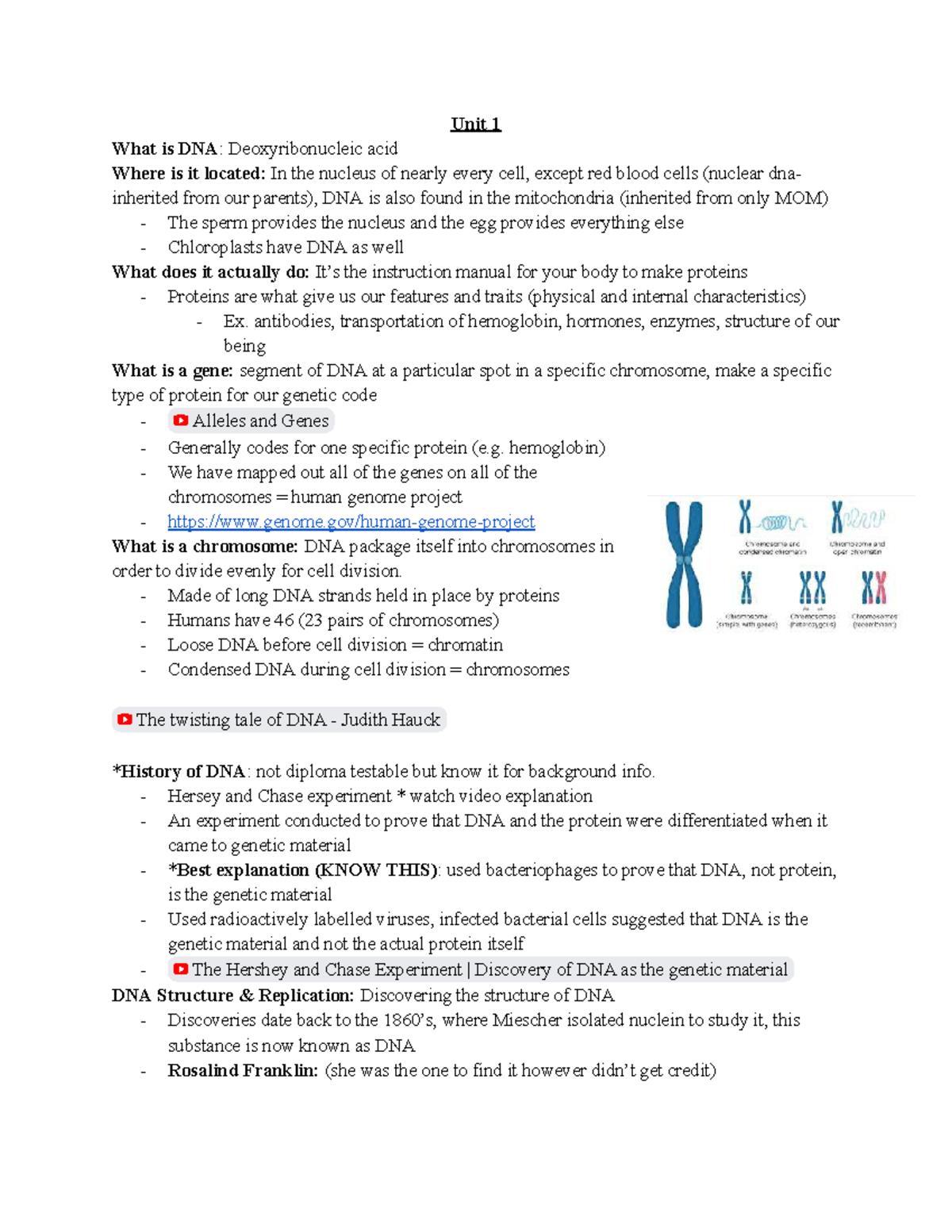 Bio 30 - Unit 1: Understanding DNA Structure and Function - Studocu