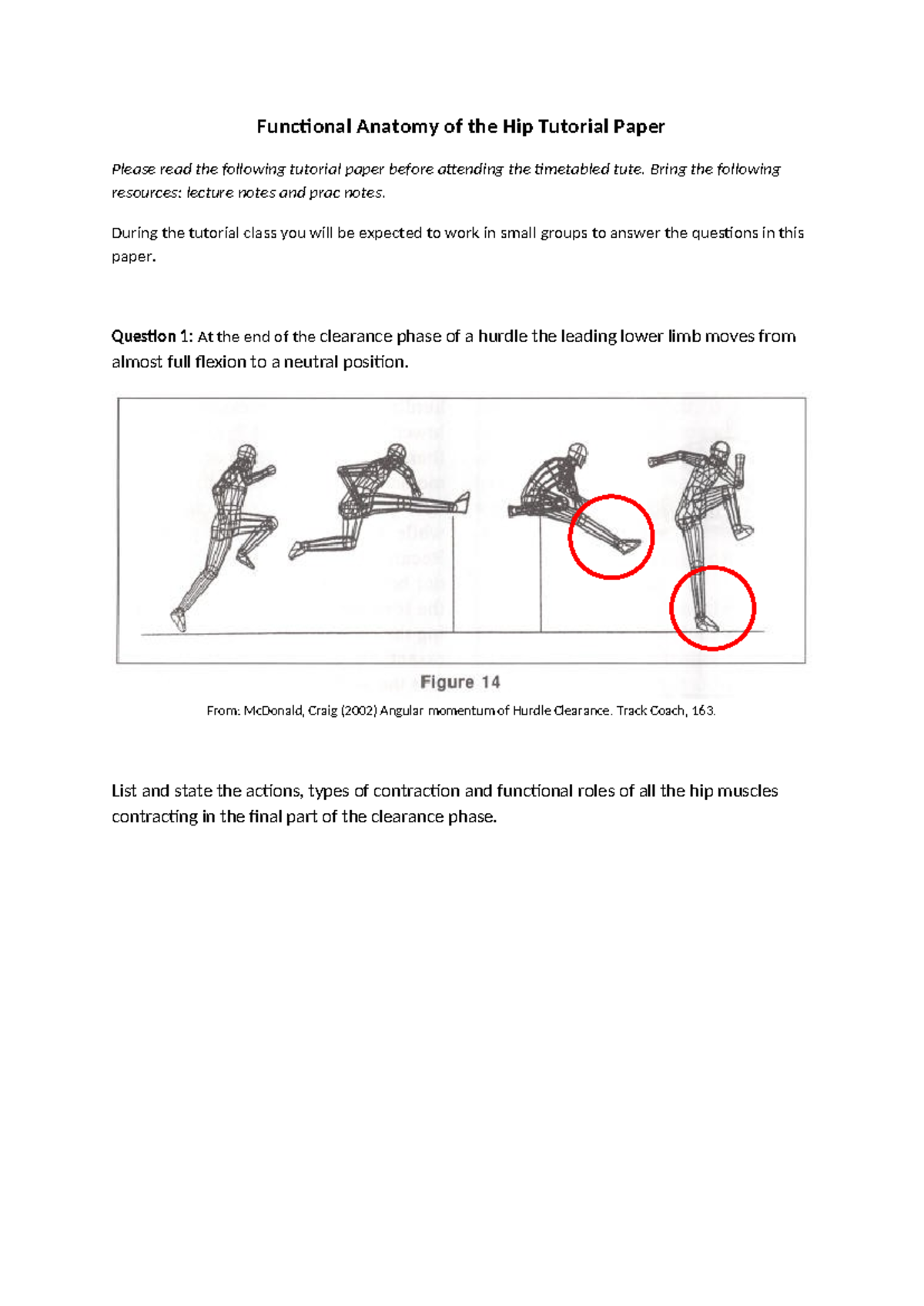 Hip joint functional - Functional Anatomy of the Hip Tutorial Paper ...
