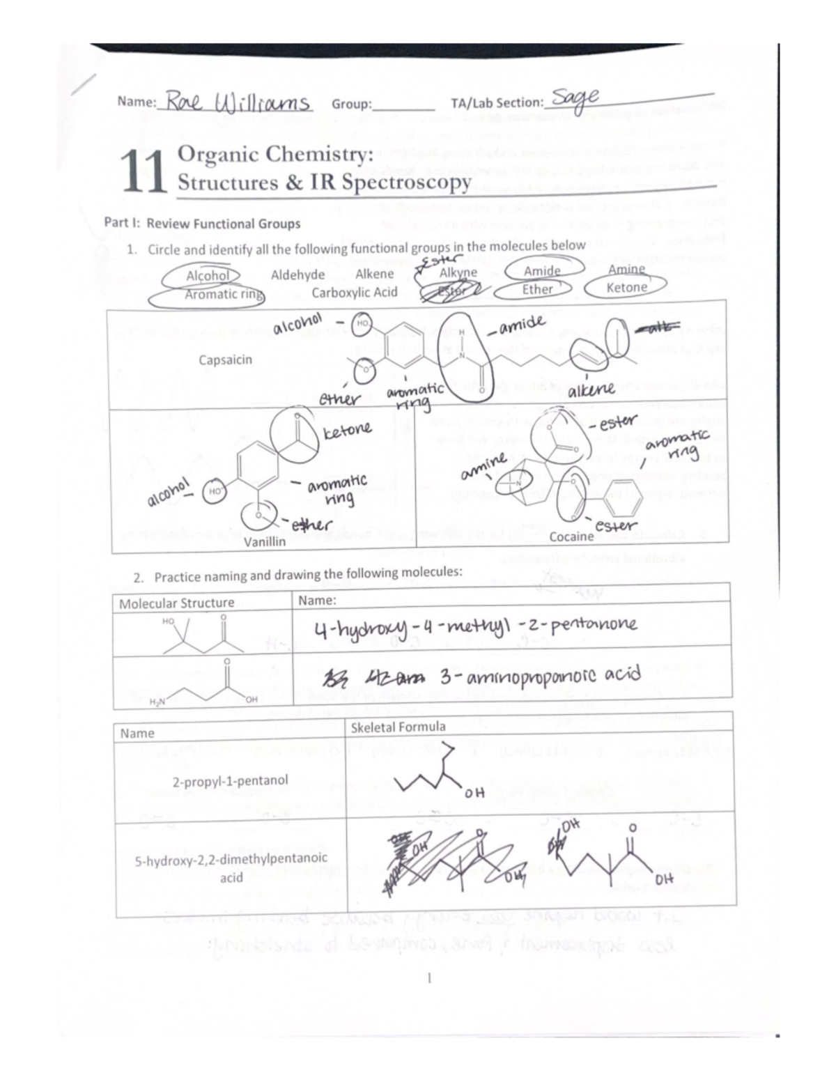 Scanned Documents 4 - Experiment 11 Worksheet - Name: Rae Williams ...