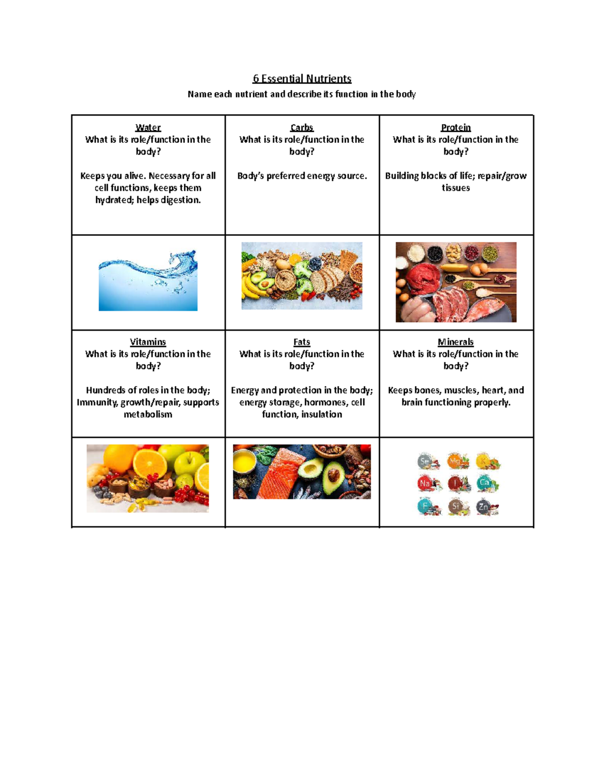 6 Essential Nutrients: Functions and Importance in the Body - Studocu