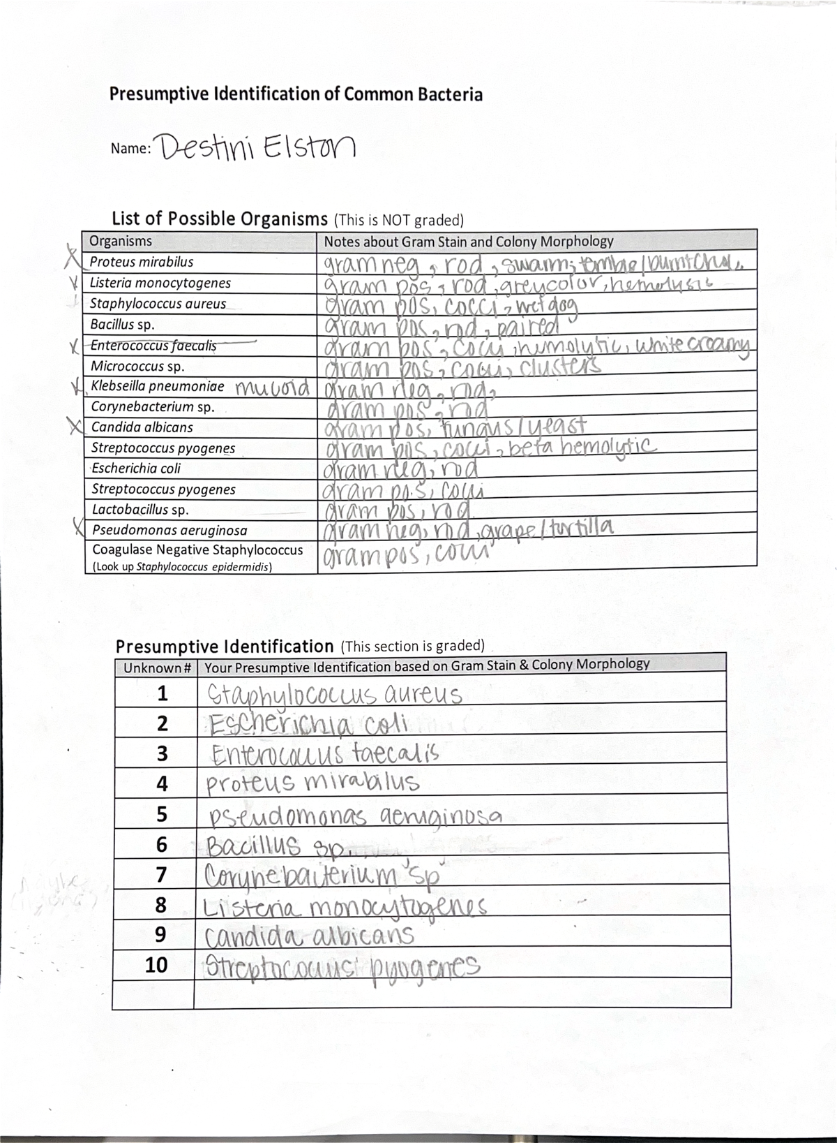 Presumptive Identification of Common Bacteria - gram pos, nd, paired x ...