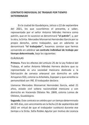 ACTA Constitutiva DE LA Comision Mixta RIT - Formato sugerido de Acta ...