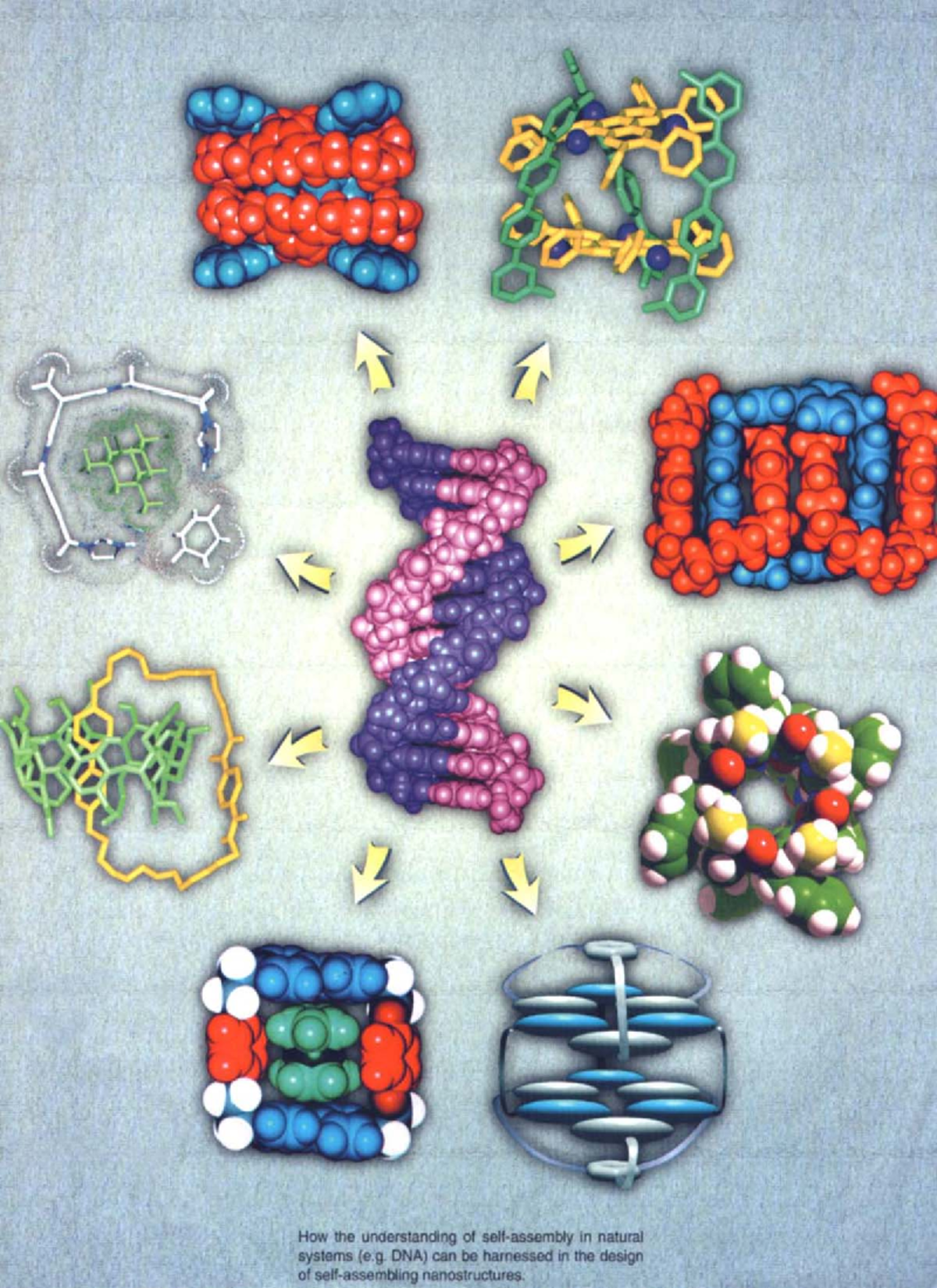 Self-Assembly Mechanisms in Nature and Chemistry - Angew Chem Int Ed ...