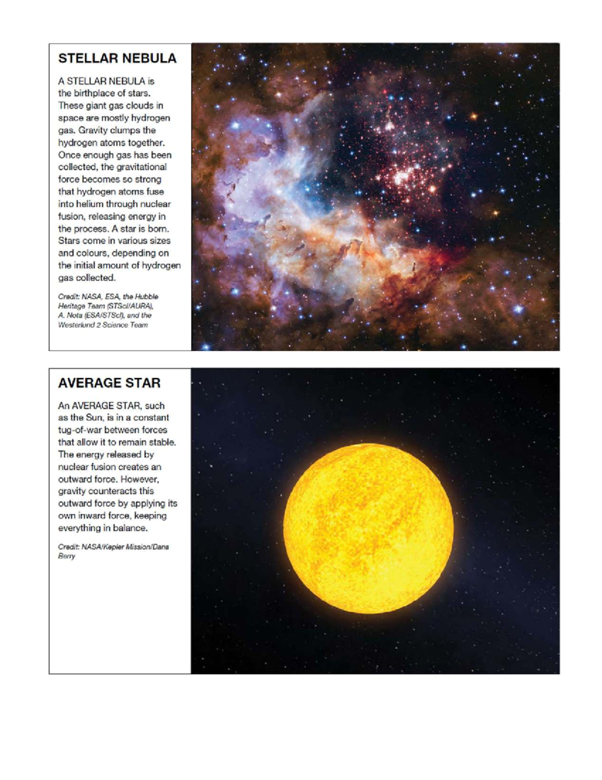 0 - Stellar Life Stages: From Nebula to Black Hole - Studocu
