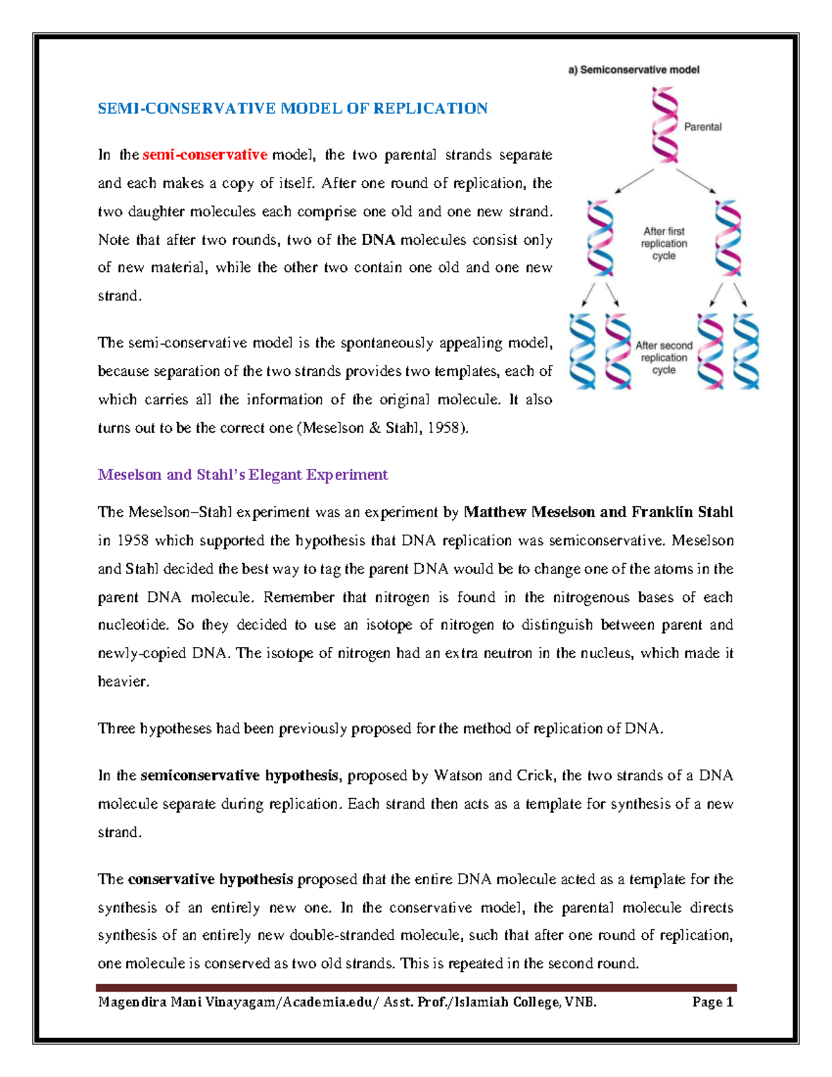Replication Model: Semiconservative Hypothesis (BIO 101) - Studocu