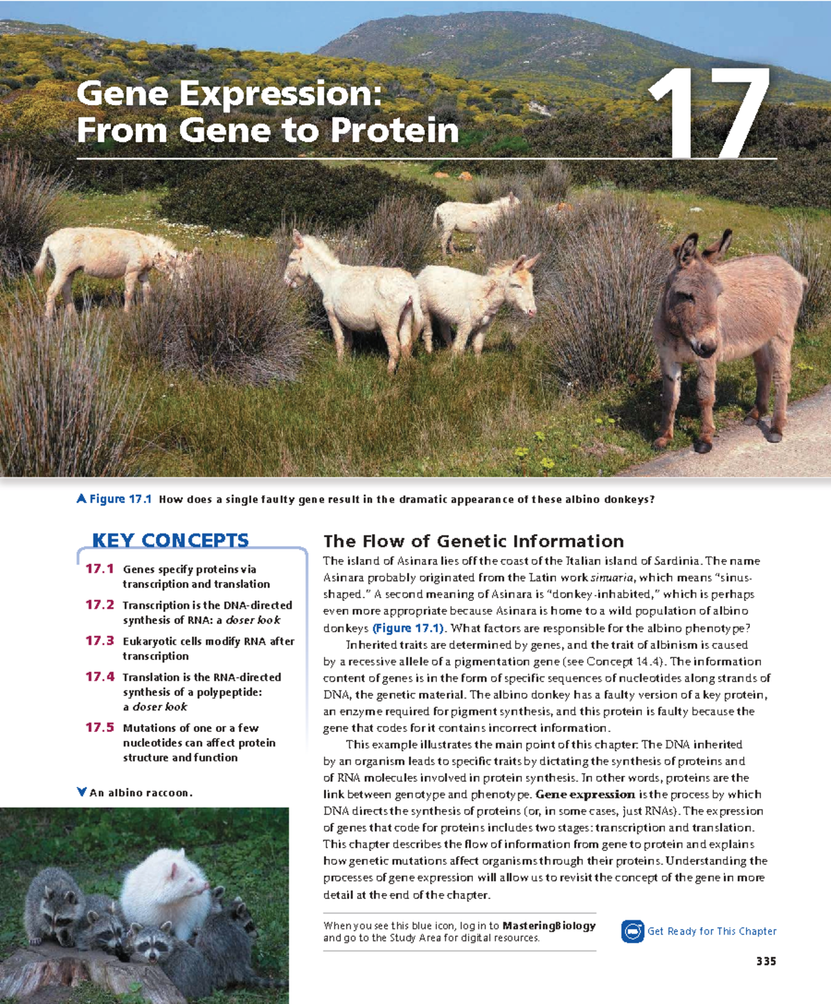 Chapter 17: Gene Expression - From Gene to Protein (Biology 101) - Studocu