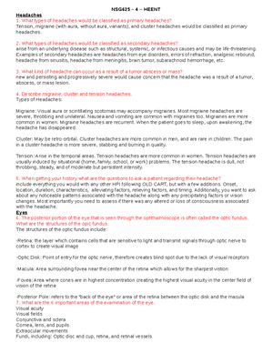 RISE Placement Test Prep Math in easy to understand - RISE Math ...