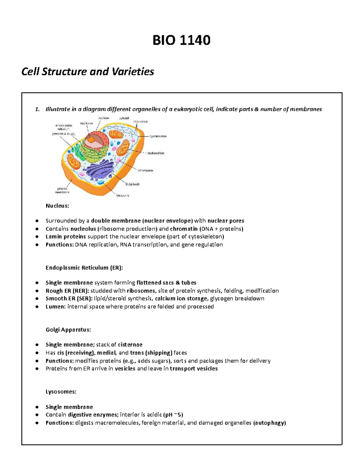 BIO 1140 Final Exam Study Guide: Eukaryotic Cell Structure & Functions - Studocu
