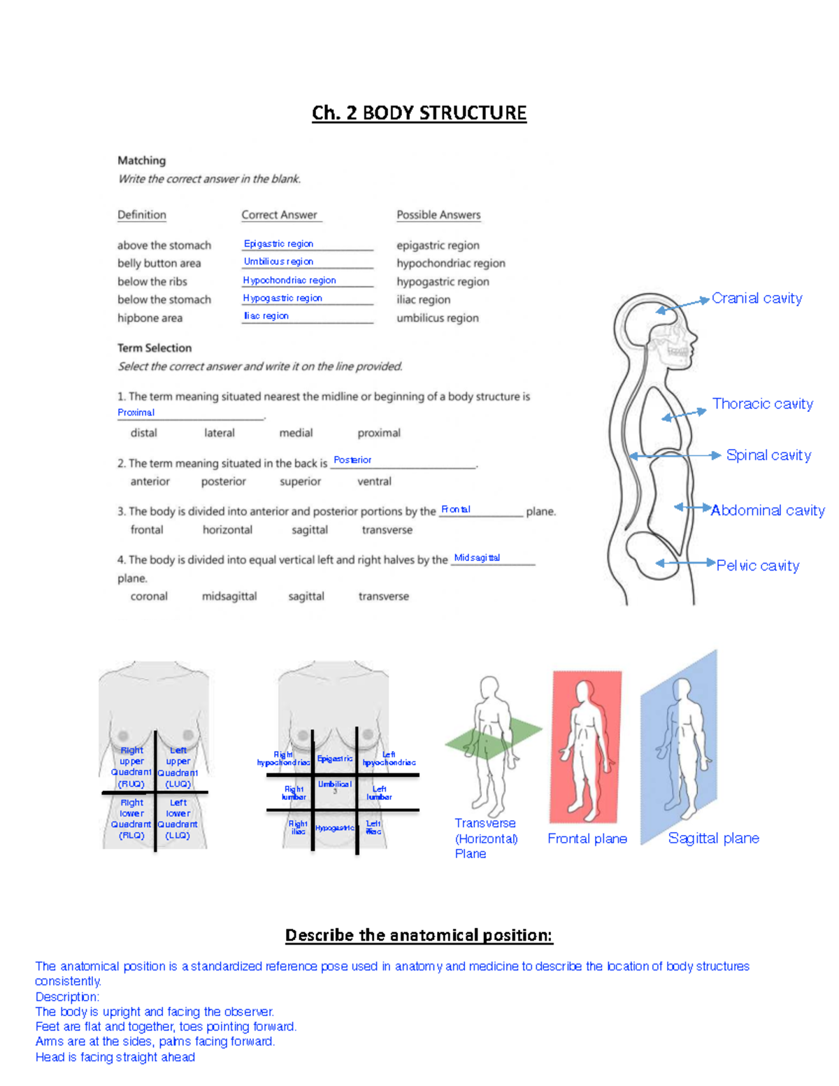 Medical Terminology & Body Structures Revision Notes (Ch. 1-16) - Studocu
