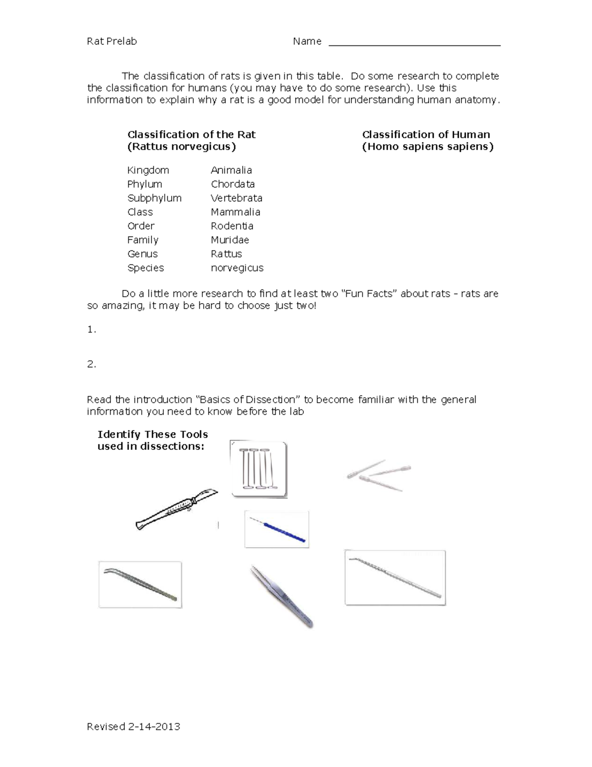 Rat Dissection Prelab: Understanding Anatomy Through Rattus norvegicus ...
