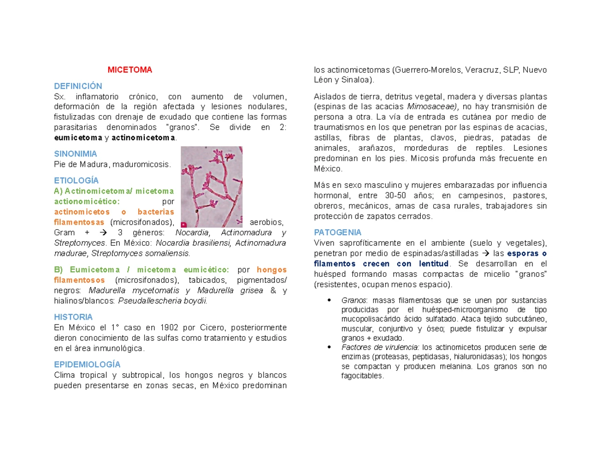 Schistosoma Mansoni, ciclo de vida, patogenia y tratamiento ...
