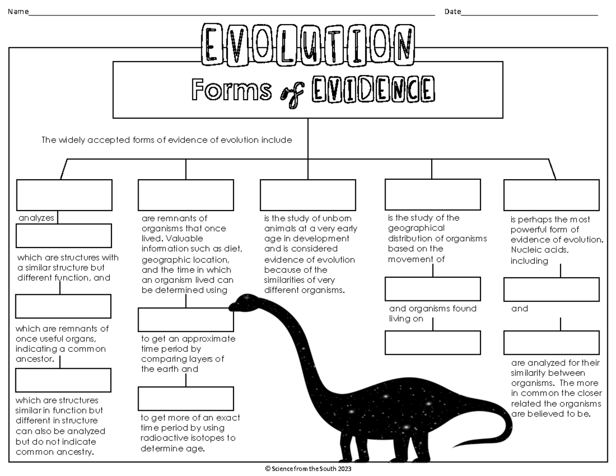 Evidence of Evolution Concept Map Graphic Organizer for Assessment-1 ...