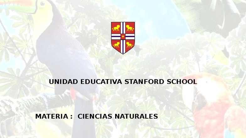 Reino Animalia: Características y Clasificación - CIENCIAS NATURALES ...