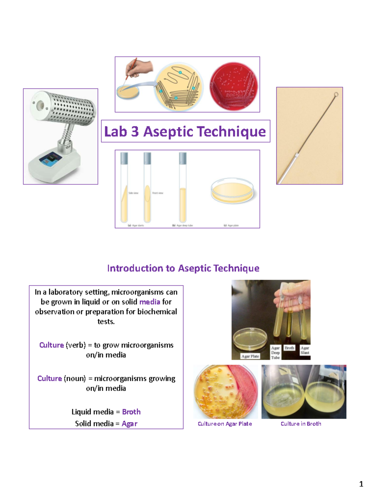 Lab 3: Aseptic Techniques for Bacteria Transfer and Culturing - Studocu