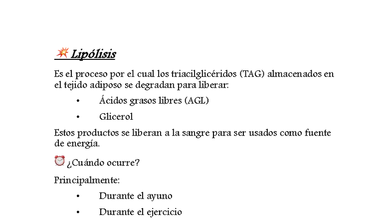 Lipólisis y Cetogénesis: Procesos Energéticos en Bioquímica (Doc4-1 ...