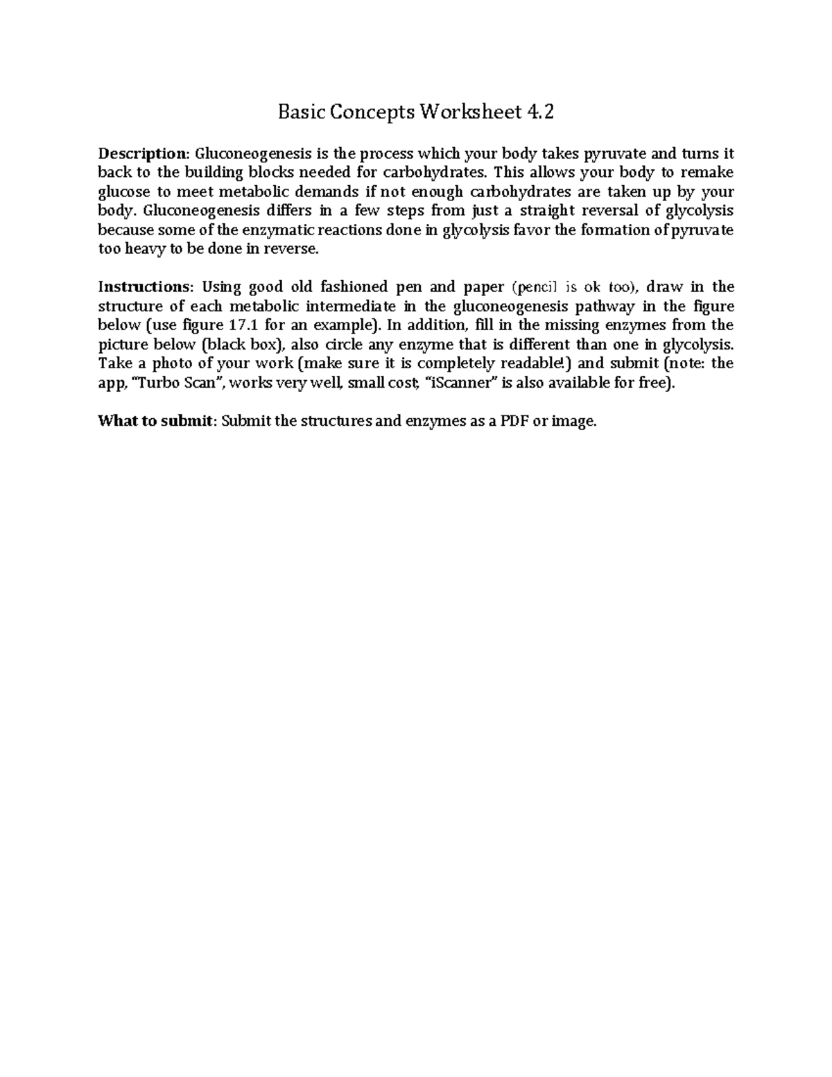 Basic Concepts Worksheet 4 - Description : Gluconeogenesis is the process which your body takes ...