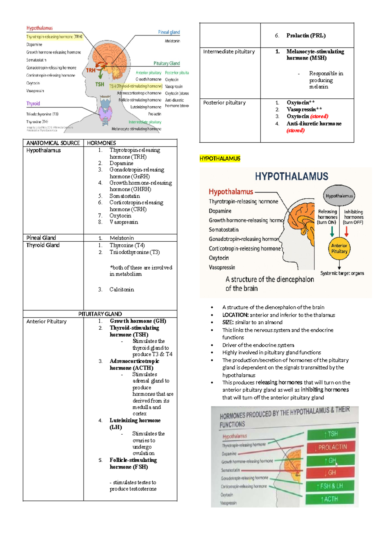 Mtap CC Clinical Chemistry Notes Pituitary Hormones Overview Studocu