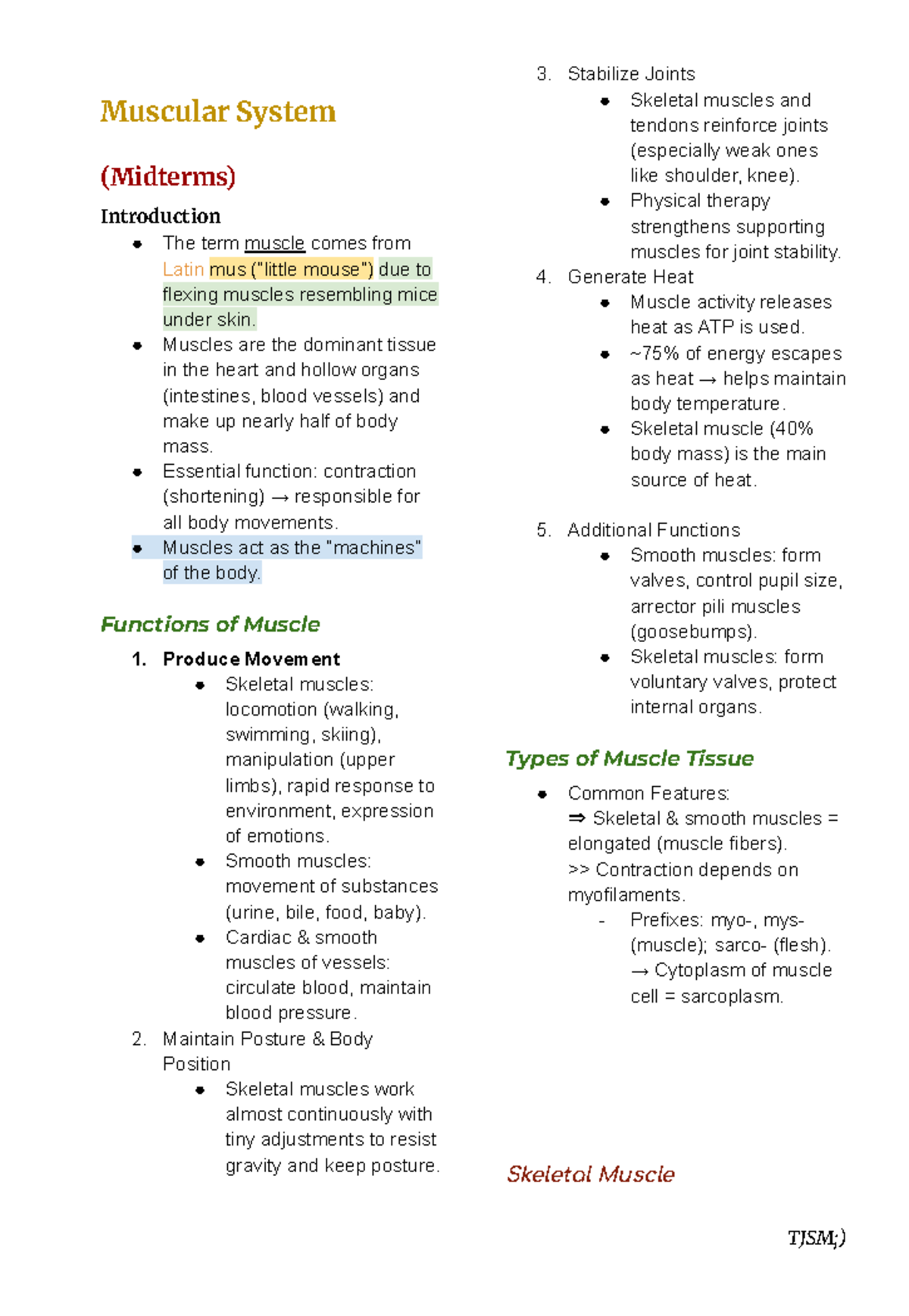 Anatomy Notes: Muscular System (Midterms) Overview and Functions - Studocu