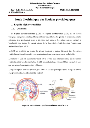 Guide Complet sur les Champignons : Structure, Reproduction et ...