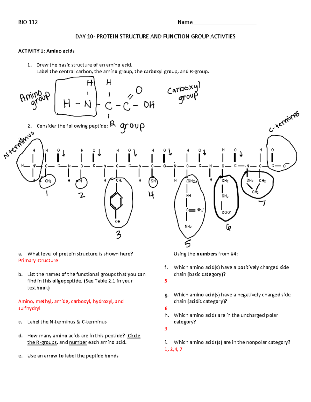 BIO 112 Final Exam Study Guide: Protein Structure & Function Activities - Studocu