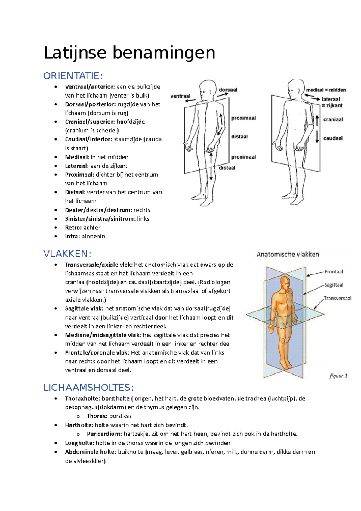 Latijnse Benamingen in Anatomie (MPA) - Overzicht en Terminologie ...